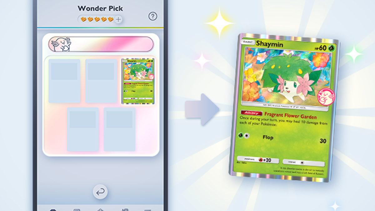 PTCGPocket.gg - Pokémon TCG Pocket